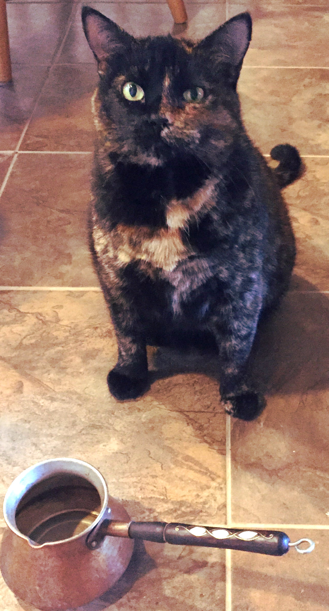 Different Types of Coffee – A Coffee World Tour | A Coffee Cat